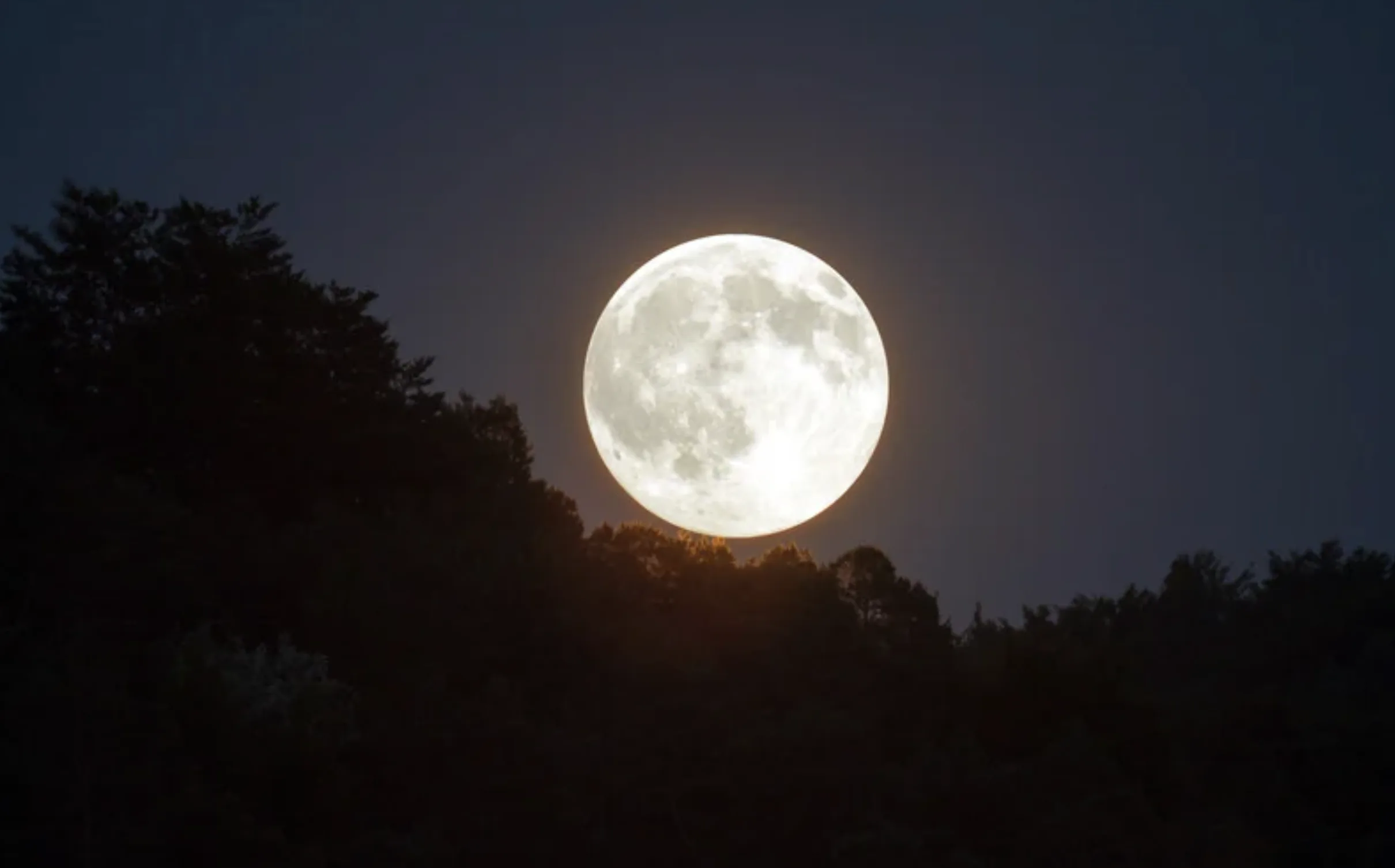 Fases da Lua em 2025: calendário oficial do INMET traz datas e horários ...